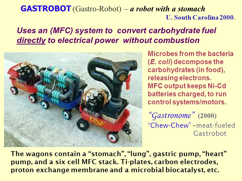 Robot Stomachs: Powering Machines With Garbage and Urine – AlleyWatch